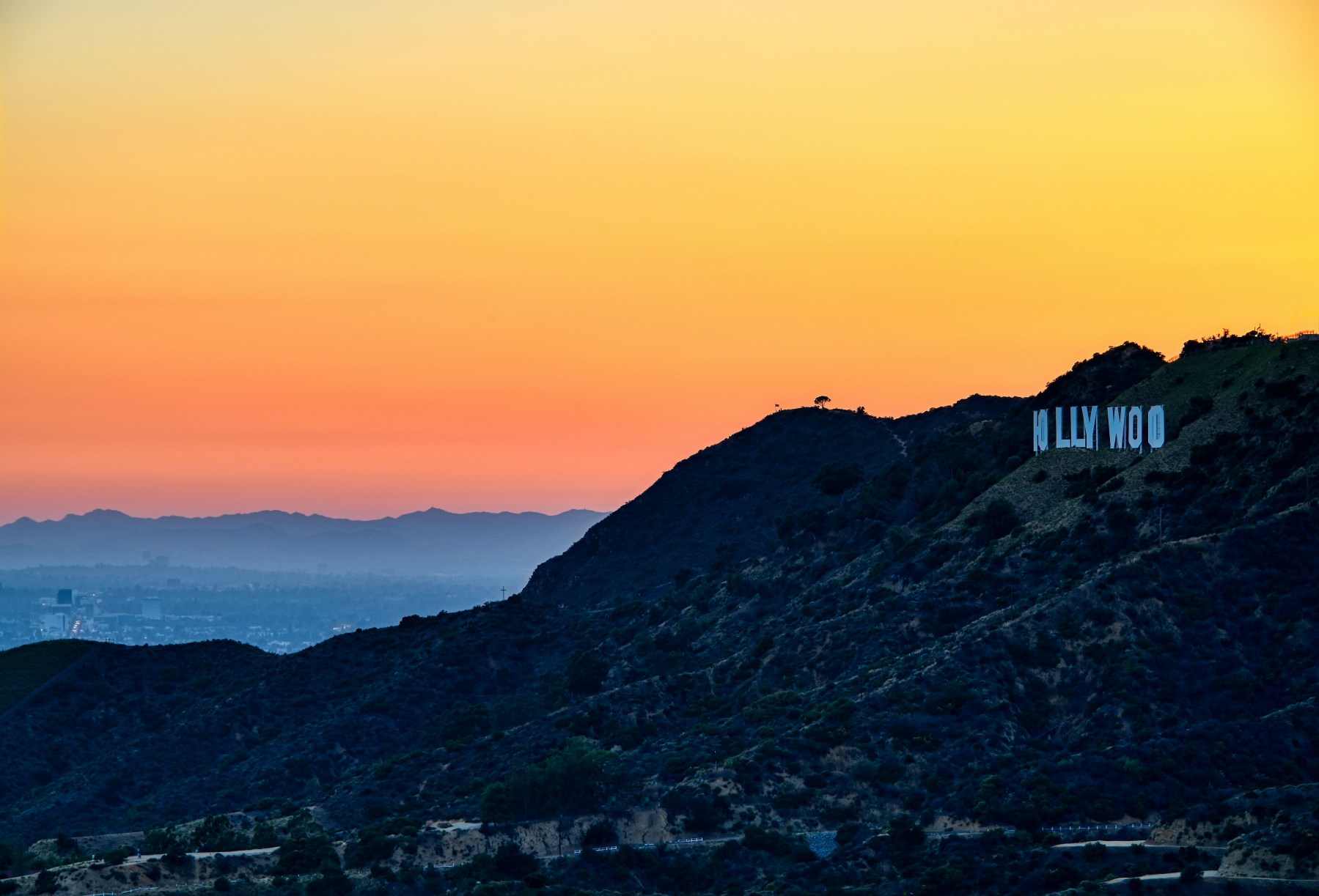 Ask A Genius 1205: ‘I’m in the Writers Guild’ – Rick Rosner